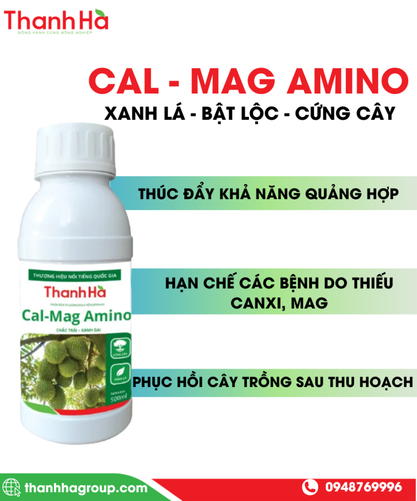 CAL - MAG AMINO - CÔNG TY CỔ PHẦN THANH HÀ